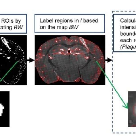 Soonja Yeom Academic University Of Tasmania Hobart School Of Computing And Information