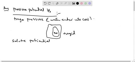⏩solvedwhat Is Pressure Potential How Does It Differ From Solute