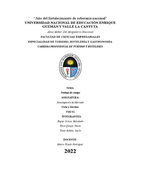 Investigación De Mercado Modelo Pdf