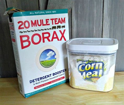 Preserve Flowers With Borax Tips For Best Results Artofit