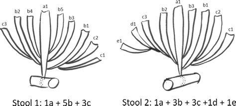 An Example Of Different Stool Classification Equations Whereby Both