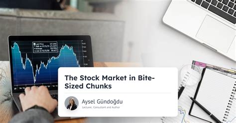 The Stock Market In Bite Sized Chunks Course Borfin
