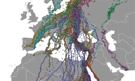 An Interactive Map Of Migrating Birds Benjamin Becquet