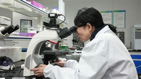 运用人源类器官模型进行新药研发，研发成本可降低一大半？昊佰生物李星南：“是真的”澎湃号·政务澎湃新闻 The Paper