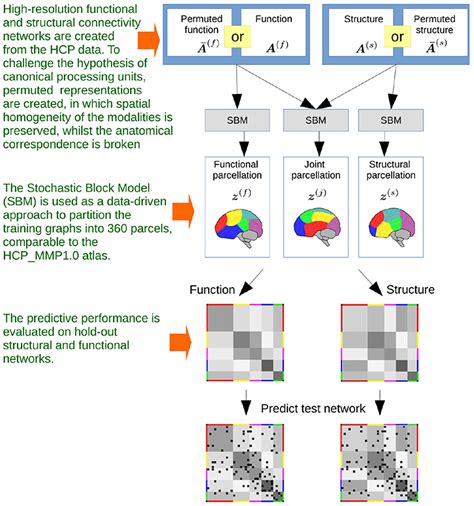 Frontiers Uncovering Cortical Units Of Processing From Multi Layered Connectomes