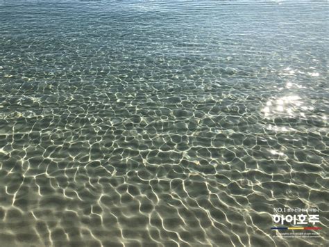 호주 최고의 해변 해밀턴아일랜드 화이트헤븐 비치 Whitehaven Beach 투어 후기 네이버 블로그