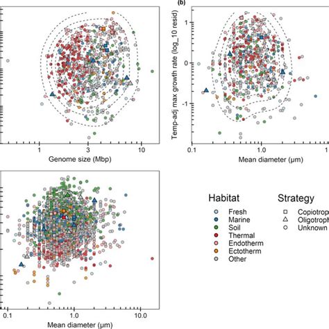 Temperature‐adjusted Maximum Growth Rate In Relation To Cell Diameter Download Scientific