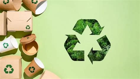 Paperisation Shifting From Plastics To Fibre Based Packaging