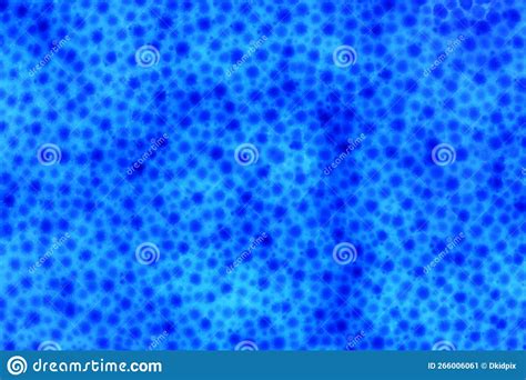 Macro Science Stock Image Image Of Macro Glamour Medical 266006061