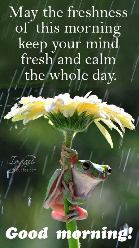 50 Rainy Good Morning Images With Quotes Rainy Season 🌧️