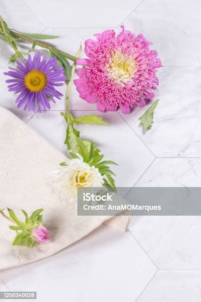 밝은 흰색 대리석 테이블 배경 위에 아름답고 우아한 달리아 꽃 어머니의 날 꽃 선물 상단 보기 평평한 평지 오버 헤드의 개념