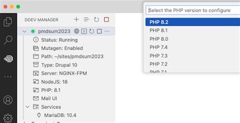 Test Driving The New Ddev Manager Extension For Visual Studio Code