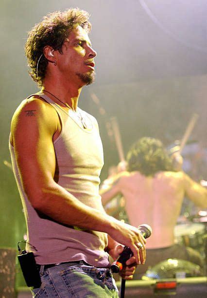 Chris Cornell Chris Cornell Robin Williams Actor Chris