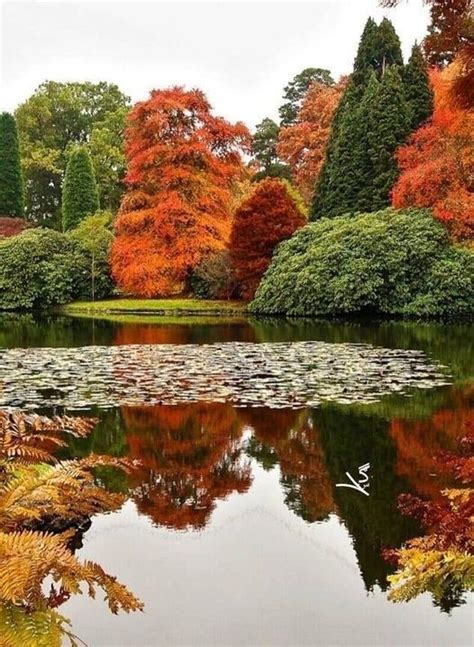 Dimmiter Entchev Dlambow On Linkedin Есен