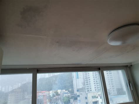비만 오면 천장에서 물이 떨어지는 이유는 뭘까요 부산누수전문업체 노아설비시스템