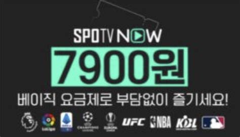 스포티비 나우 시청방법 총정리 무료 시청 투데이인포