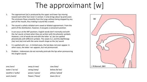 The Approximant W Pptx
