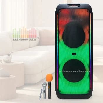 Dual 12 Inch Karaoke Bt Speaker Dj Party Usb Portable Woofer Speaker With Microphones Rgb Light
