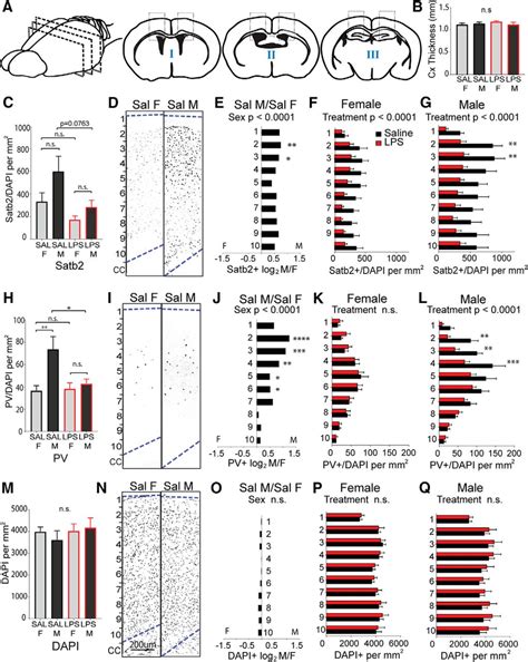 “females Are Not Just ‘protected Males” Sex Specific Vulnerabilities