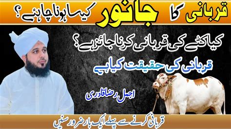 Qurbani Ka Janwar Kaisa Hona Chahiye Kia Katy Ki Qurbani Jaiz Hai Qurbani Ki Haqeeqat Kia Ha