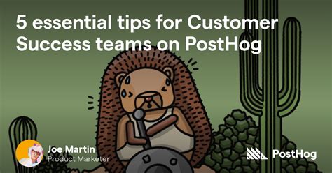 5 Essential Tips For Customer Success Teams On Posthog Posthog