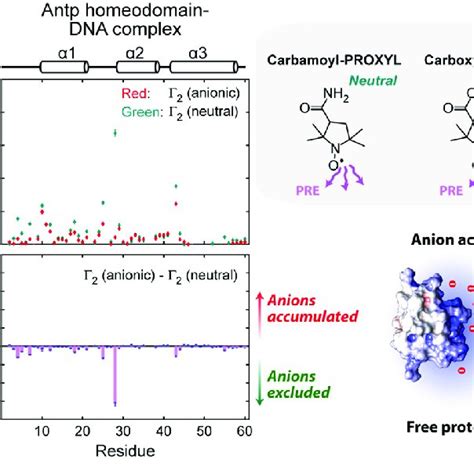 Nmr Paramagnetic Relaxation Enhancement Pre Based Approach For Download Scientific Diagram