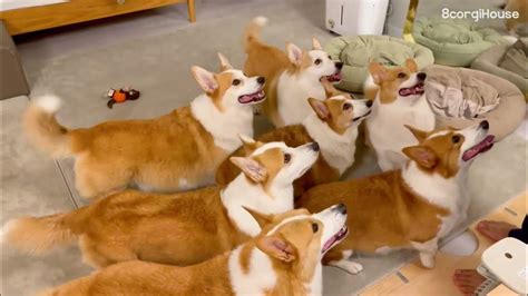 Sub 엄빠도 가끔 눈물을 흘린다 Youtube