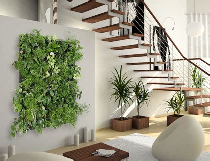 Réalisation dun mur végétal Flowall avec arrosage automatique Astuces Bricolage