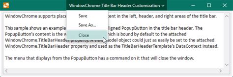 wpf windowchrome title bar header customization the actipro blog