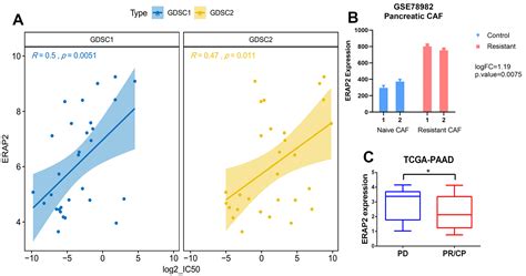 Erap As A Potential Biomarker For Predicting Gemcitabine Response In Patients With Pancreatic