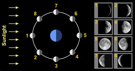 Background 26 Lunar Phases Naap