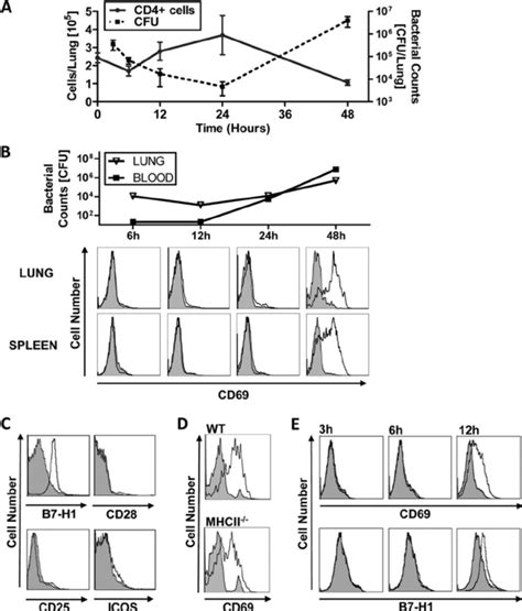 Recruitment And Activation Of Cd4 ϩ T Cells Upon S Pneumoniae