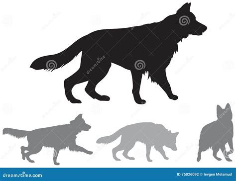 德国牧羊犬动态传染媒介剪影 向量例证 插画 包括有 保护 向量 牧羊人 卫兵 显示 图标 扶手 75026092