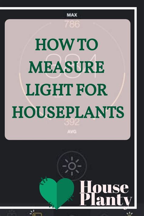 How To Measure Light For Houseplants