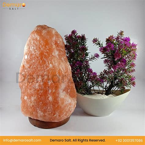 Natural Pink Himalayan Salt Lamp Pakistan Iso Certified Supplier