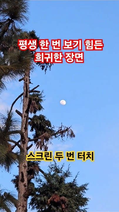 평생 한 번 보기 힘든 장면 Youtube