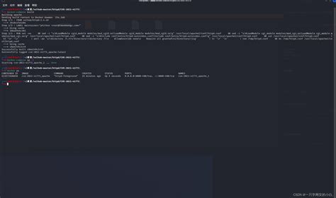 【vulhub系列】cve 2021 41773 apache d 2 4 49 路径穿越漏洞复习 cve 202141773 csdn博客