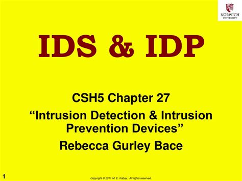 Ppt Ids And Idp Powerpoint Presentation Free Download Id 1993913