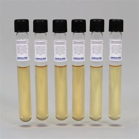 The Effect Of Ph On Microbial Growth Carolina Distance Learning