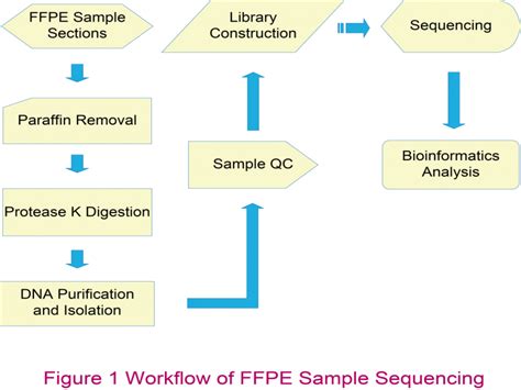 Ffpe Samples Bgi Americas