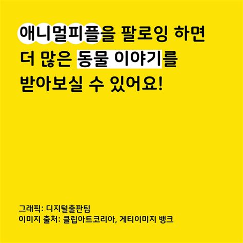 카드뉴스 플라스틱이 바다거북을 병들게 한다 야생동물 야생동물 애니멀피플 뉴스