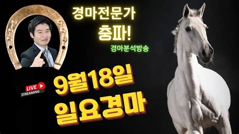 9월18일 일요경마 분석방송 충파와 함께 라이브방송 경마장습격 모두함께 가시죠 복병마축마 Youtube