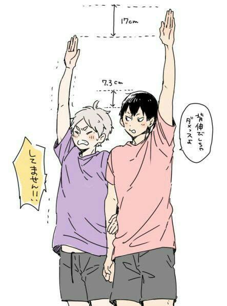 Tak Jak Sam Tytu M Wi B D Tu R Ne Zdi Cia I Komiksy Z Haikyuu Nie Random Random