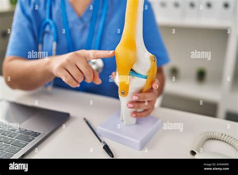 Young Hispanic Woman Wearing Doctor Uniform Pointing To Anatomical