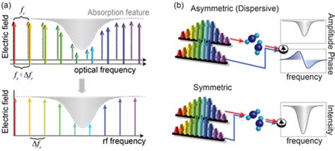 Frequency Comb Based Spectroscopy Dual Comb Spectroscopy Nist