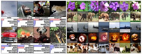 Alexnet Imagenet Classification With Deep Cnn3