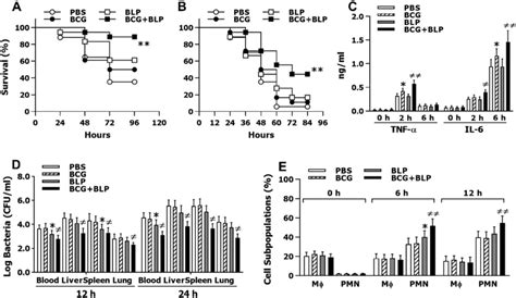 Trained Immunity Induced By Bcg Blp Protects Neonatal Mice Against