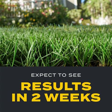 Scotts Turf Builder Triple Action1 Scotts