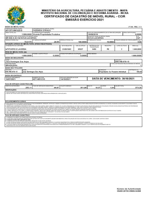Doc 06 Ccir 2021 Pdf Brasil Economias