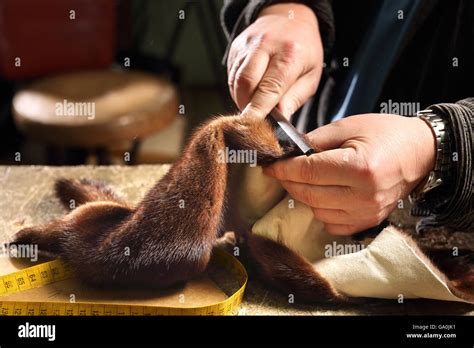 Mink coat hi-res stock photography and images - Alamy